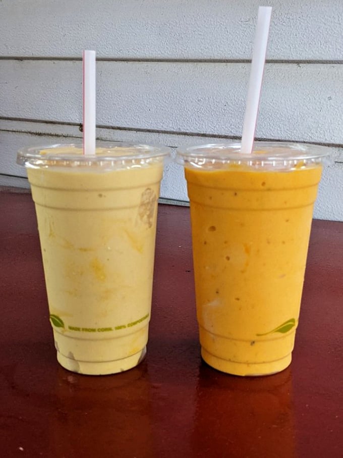 Liquid sunshine in two cups. These aren't your drive-thru milkshakes—they're fruit symphonies conducted by Florida's finest blender maestros.