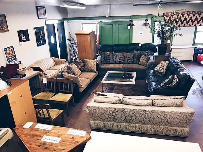 Living room time capsules that tell stories of dinner parties past. That velvet sofa has definitely seen some fascinating conversations.