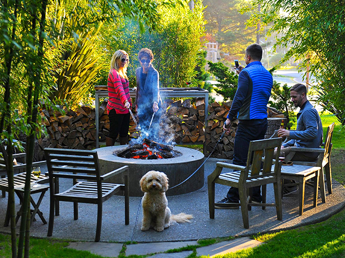 Nothing says "vacation done right" like gathering around a crackling fire pit with friends, where s'mores and stories flow freely.