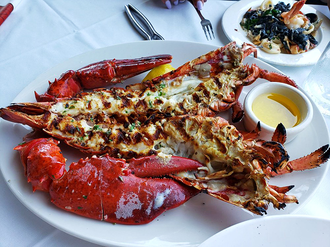 Behold the star of the show: grilled lobster that's had a perfect tan day, split and charred to showcase sweet meat that's worth every penny.