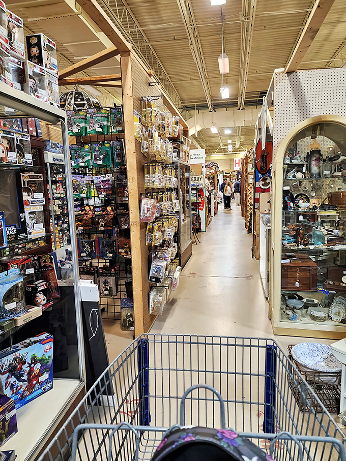 Cart-view perspective: navigating these aisles feels like exploring a museum where everything's actually for sale. No velvet ropes here!
