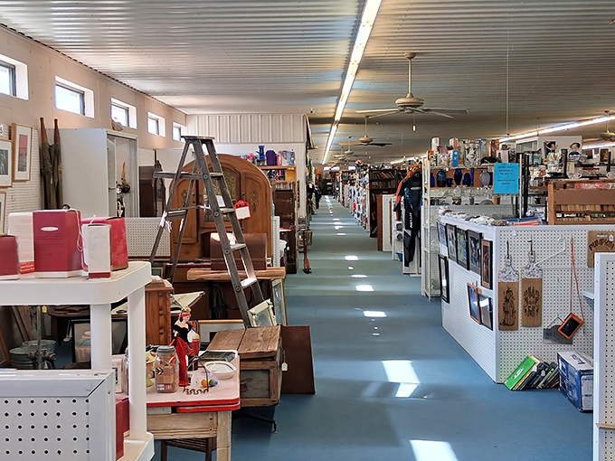 The market's corridors feel like a museum where everything's for sale—no velvet ropes, just endless possibilities and fluorescent lighting. 