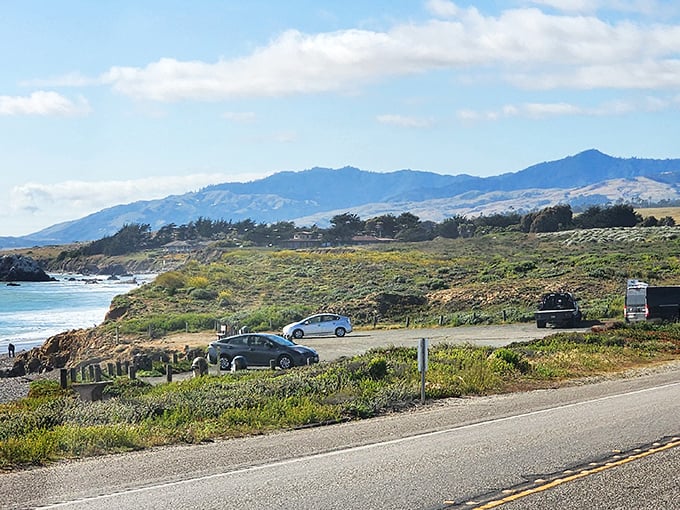 The California coast in all its glory—where mountains meet ocean in a view that no smartphone camera can truly capture.