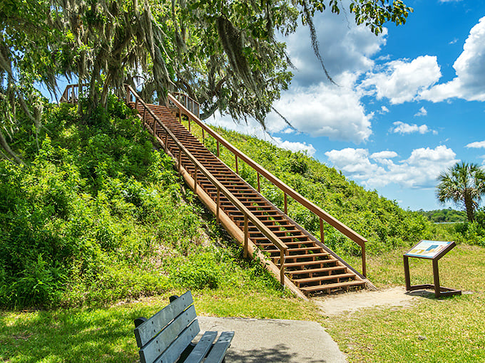 Nature's stairway to heaven? These wooden steps lead to breathtaking views of Crystal River's natural wonders. Comfortable shoes required, camera essential.