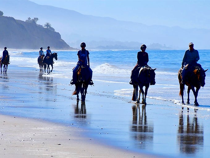 Nothing says "I've escaped reality" quite like horseback riding along the shoreline, where hoofprints and ocean waves create nature's perfect soundtrack.