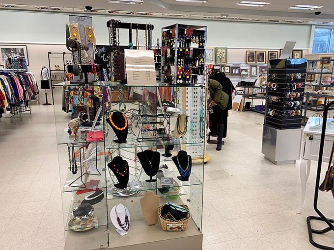 Jewelry displays that transform "someone else's old stuff" into "your new conversation piece"—proof that one person's past is another's present.