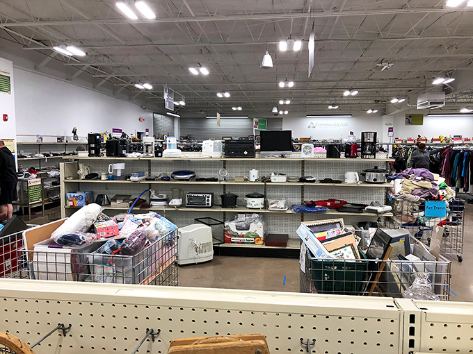Small appliances with big potential line these shelves—where yesterday's bread makers and toasters await their second act in new kitchens.