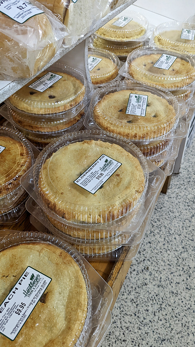 Pie paradise! These golden-crusted beauties aren't just desserts—they're edible time machines to your grandmother's kitchen.
