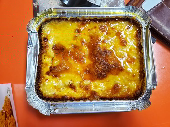Mac and cheese that doesn't mess around—this golden, bubbling masterpiece has clearly been introduced to a proper broiler for that coveted crispy top.