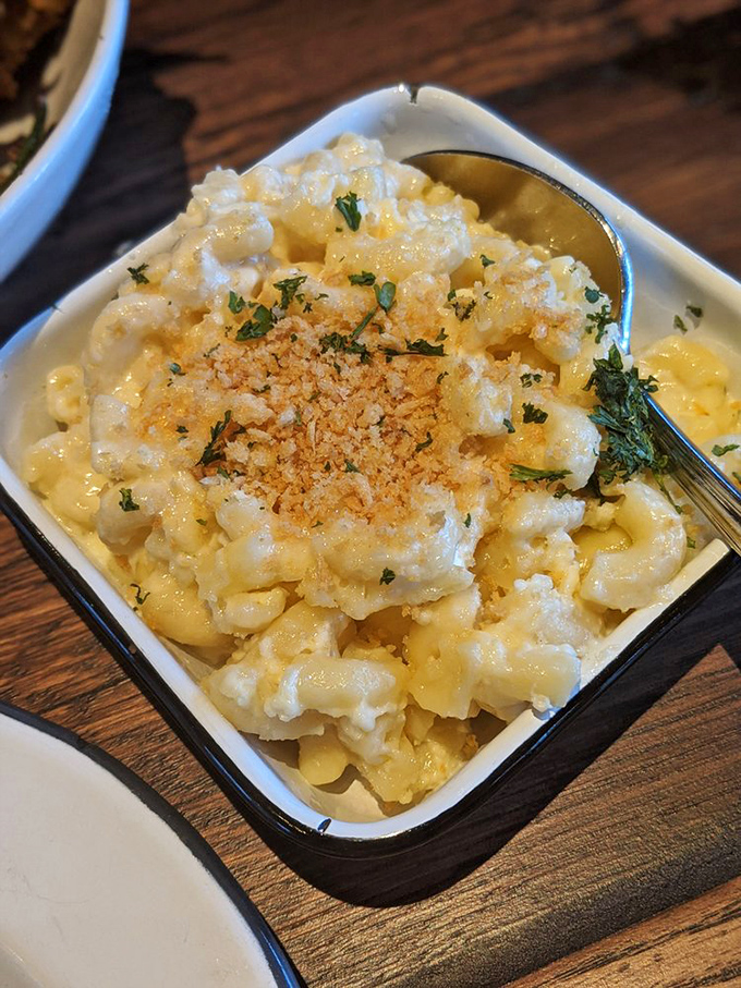 Not all heroes wear capes—some wear golden breadcrumbs atop perfectly cooked pasta swimming in a cheese sauce that should be illegal in at least nine states.