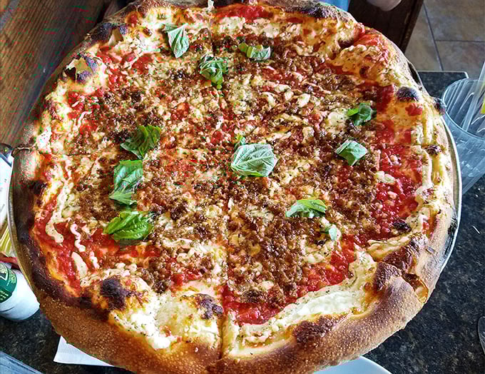 Pizza perfection achieved! The coal-fired crust with its signature char spots cradles bright tomato sauce, melted cheese, and fresh basil—simplicity elevated to art form.