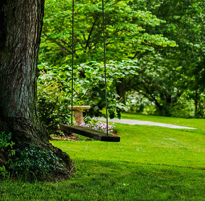 Just moments from the bridge, simple pleasures await—like this inviting tree swing that beckons visitors to pause and enjoy the countryside.
