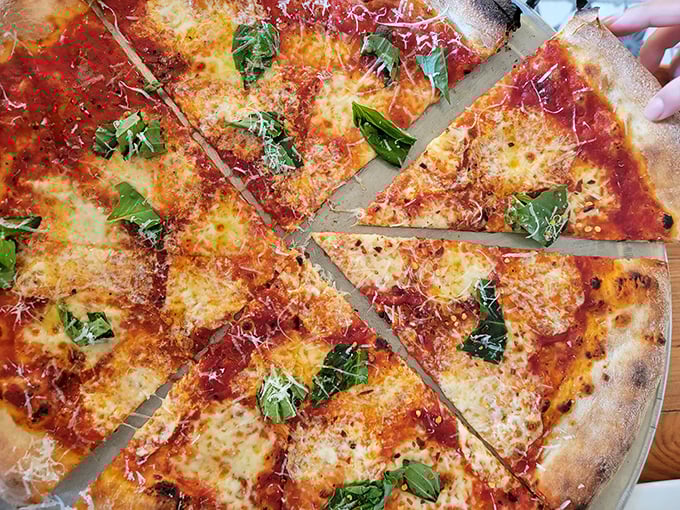That perfect New York fold in action – proof that great pizza transcends state lines.