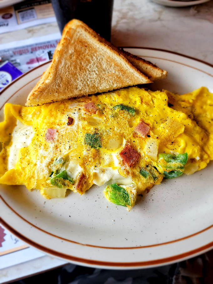 This Western omelet doesn't just satisfy hunger – it tells a story of perfect egg technique and ingredients in harmonious balance.