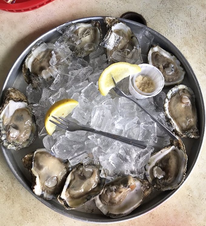 These oysters aren't just served—they're presented like the coastal jewels they are. Briny perfection on ice with just enough lemon to make your taste buds stand at attention.
