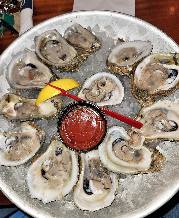 These aren't just oysters – they're briny time capsules of the Chesapeake Bay, each one a perfect little slurp of the Atlantic.