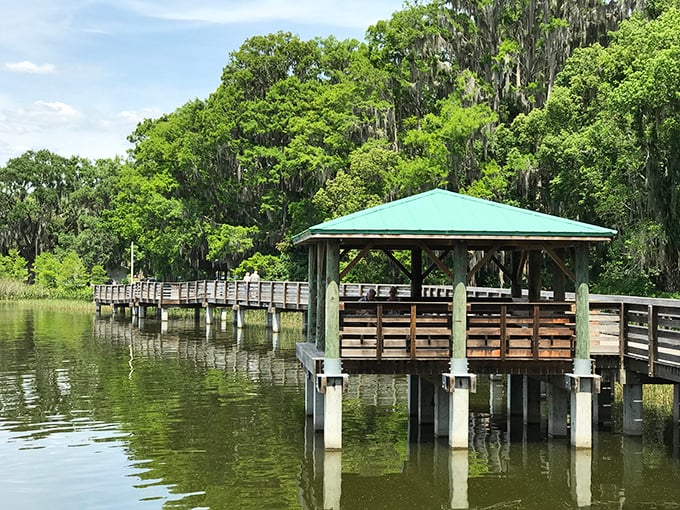 This tranquil boardwalk at Palm Island Park invites contemplation, bird watching, and the occasional "did I just see an alligator?" double-take.