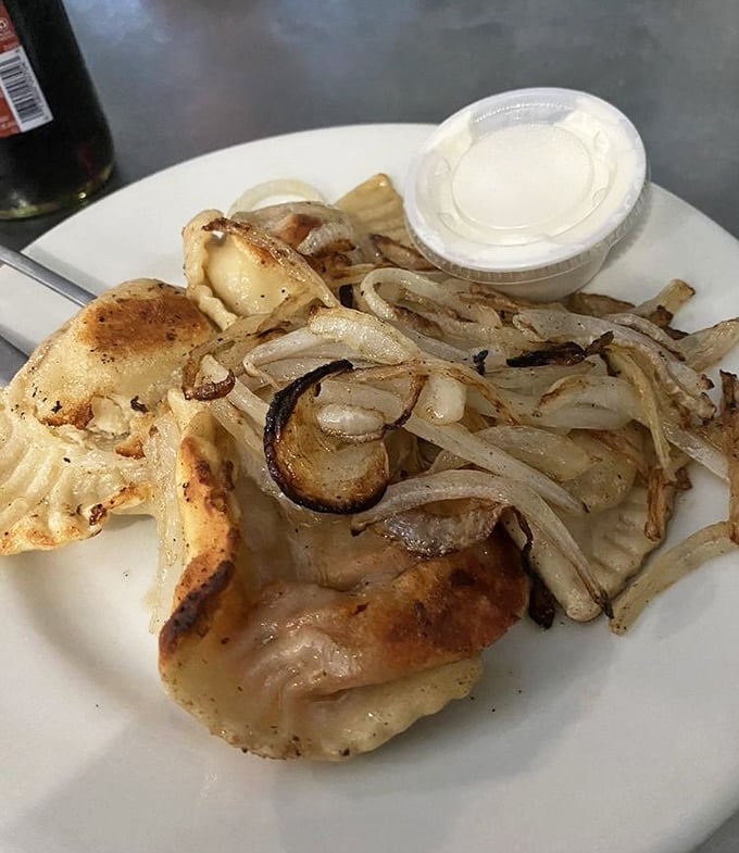 Golden-brown pierogi lounging with caramelized onions – Poland's gift to the world looking absolutely ready for its close-up.