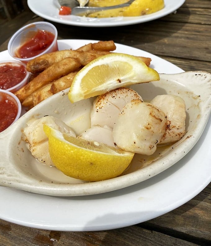 These scallops aren't just cooked—they're respected. Sweet, tender morsels kissed by heat and lemon, proving simplicity is the ultimate sophistication.