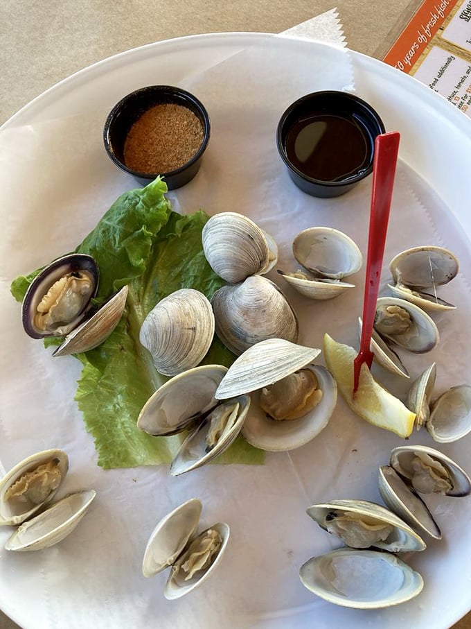 These steamed clams aren't just served—they're presented like the coastal jewels they are, with broth worth drinking when nobody's looking.