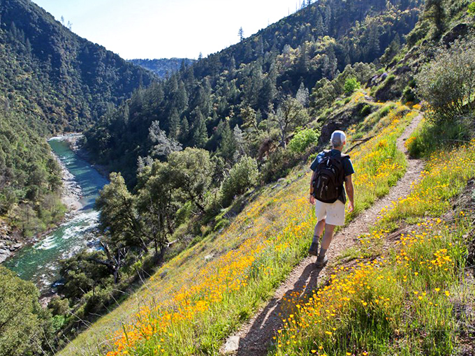 Mother Nature showing off along Stevens Trail, where wildflowers create a yellow brick road that would make Dorothy jealous.