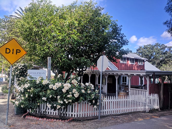 At Stolpman Vineyards, the white picket fence isn't just decorative—it's containing all that wine-country charm from spilling onto the street.