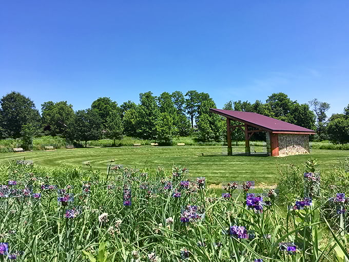 Mother Nature showing off again—purple irises frame a pastoral view so perfect it looks like someone Photoshopped reality. This is Strasburg's idea of a "filter."