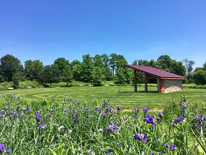 Mother Nature showing off again—purple irises frame a pastoral view so perfect it looks like someone Photoshopped reality. This is Strasburg's idea of a "filter."