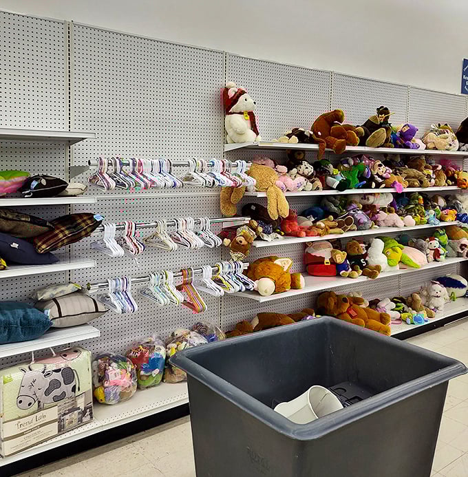 Stuffed animal kingdom! These pre-loved plush pals wait patiently for their second chance at cuddles—the adoption fee won't break the bank.