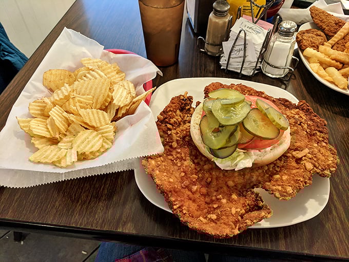 The legendary tenderloin in all its glory – a golden-brown disc of perfection that makes the bun look like it's playing a supporting role.