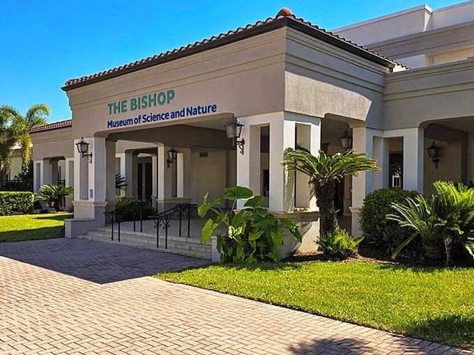 The Bishop Museum combines natural history, astronomy, and manatee rehabilitation under one roof—like a science playground for curious minds of all ages.