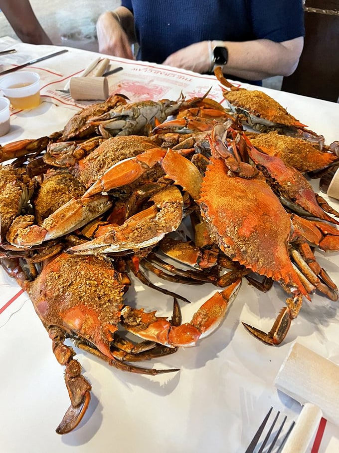 Maryland's famous blue crabs in their full glory—steamed, seasoned, and waiting to surrender their sweet meat to those willing to work for it.