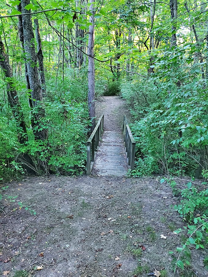 This humble wooden bridge promises adventure like the opening chapter of a storybook – minus the trolls underneath.