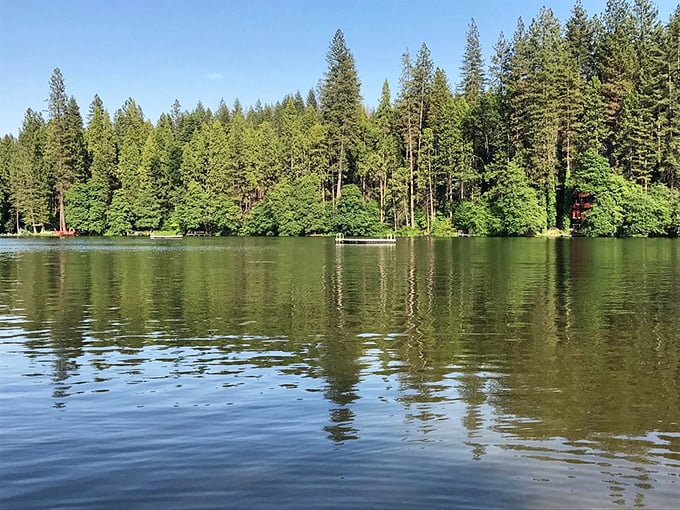 Mirror-like waters reflecting towering pines – Mother Nature showing off her photography skills at Twain Harte Lake.