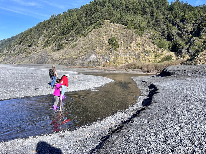 Family adventure at its finest—where little explorers discover that not all beaches come in the standard golden variety.