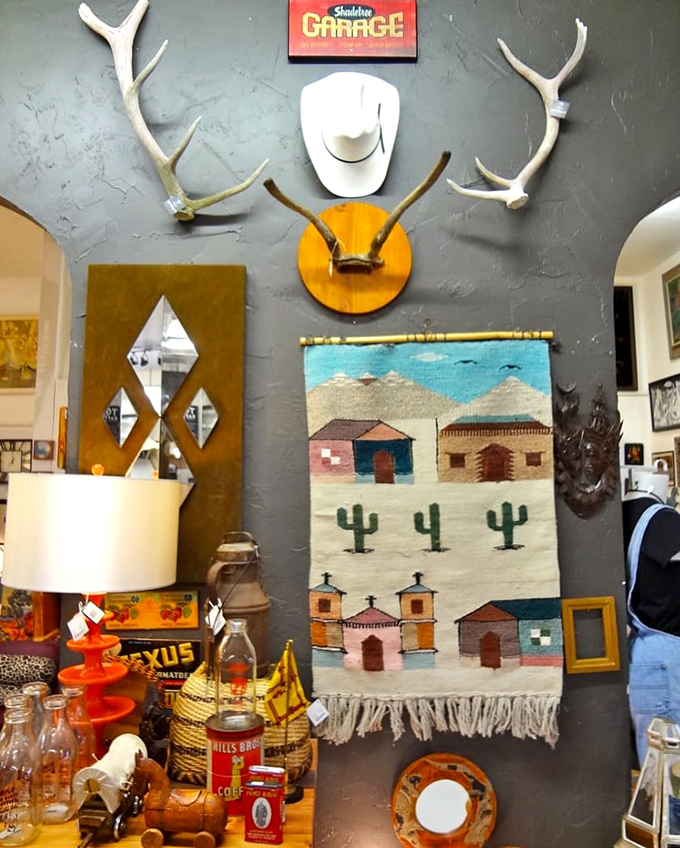 Where southwestern charm meets vintage collector's paradise. Those antlers aren't just decoration – they're conversation starters waiting to happen.