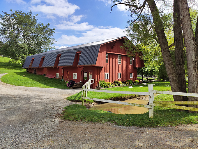 
This classic red barn isn't just Instagram-worthy – it's a working testament to craftsmanship that predates power tools and has outlasted most modern construction