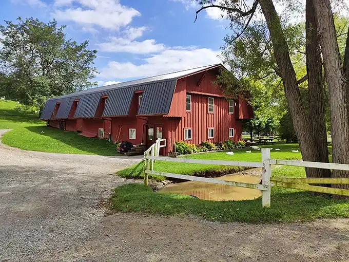 
This classic red barn isn't just Instagram-worthy – it's a working testament to craftsmanship that predates power tools and has outlasted most modern construction