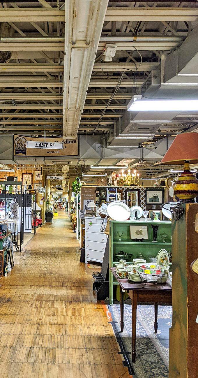 Navigate these aisles like Indiana Jones exploring ancient temples, minus the rolling boulders and snakes.