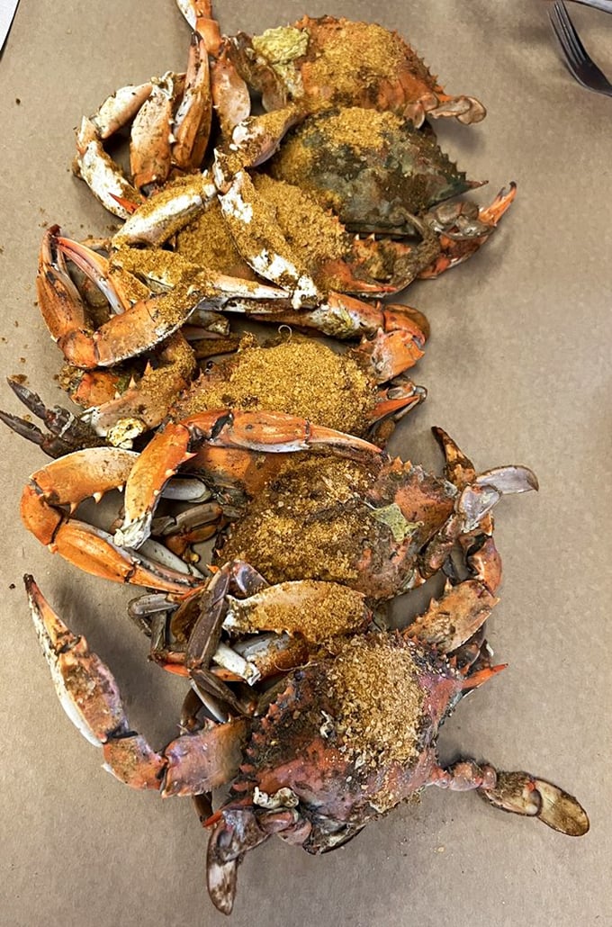 These spice-crusted beauties are why Marylanders own mallets. J.O. seasoning-covered blue crabs – nature's puzzle with a delicious prize inside.