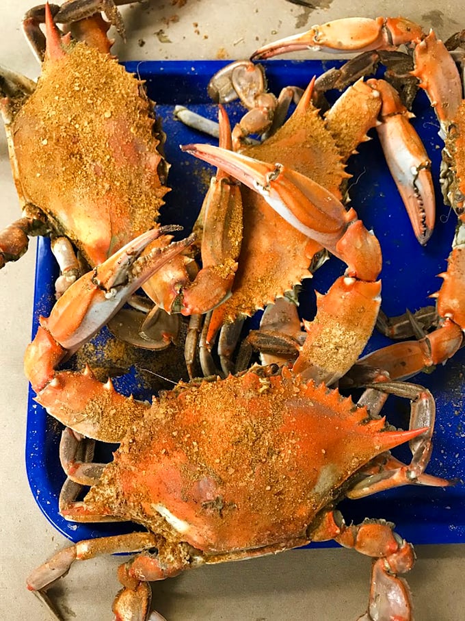 These Old Bay-dusted beauties aren't just crabs—they're edible puzzles that reward your efforts with sweet, succulent meat.