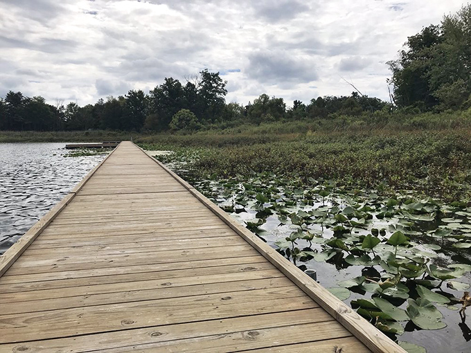 Not all who wander are lost, but this boardwalk ensures you'll find your way through Punderson's lily pad kingdom.