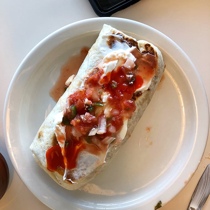 The breakfast burrito in its natural habitat—a simple white plate that knows it's merely the stage for this tortilla-wrapped masterpiece of morning perfection.