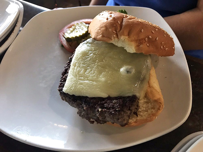 Behold the cheese melt of dreams. Like a dairy avalanche cascading down a mountain of perfectly seasoned beef.