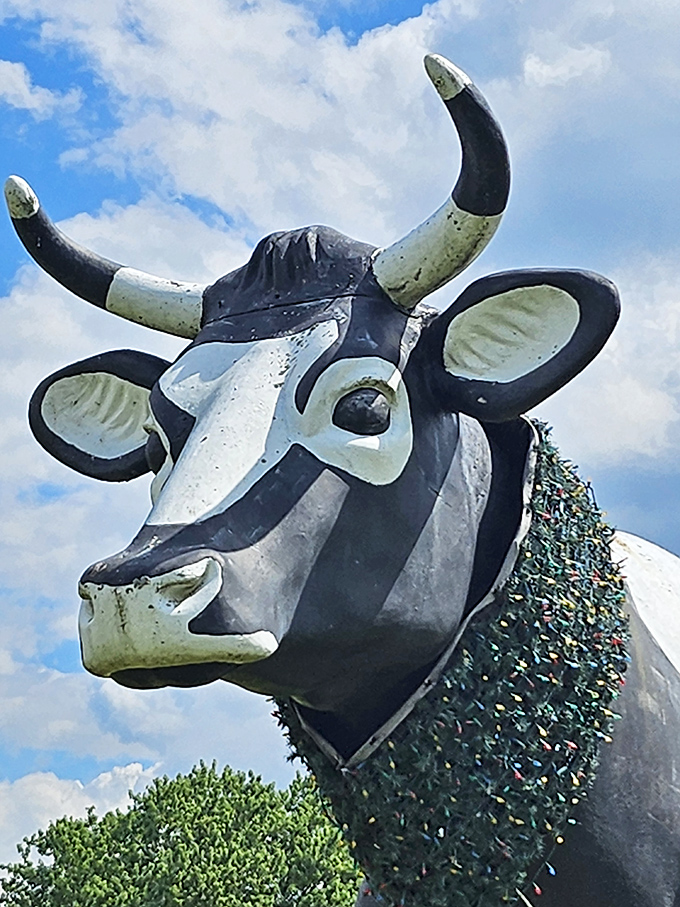 Those eyes! That snout! Up close, the Big Cow's facial features have all the charm and character of your favorite cartoon character's more agricultural cousin.