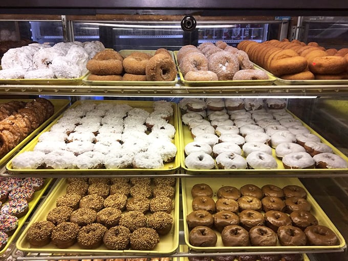 Rows of glazed perfection gleam under display lights like edible jewels in a pastry treasure chest.