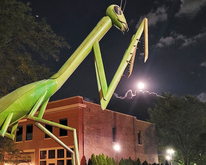 As night falls, KokoMantis takes on an eerie glow against the moonlit sky, like something from a 1950s sci-fi movie—but friendlier.