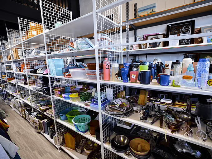 Kitchen gadgets and household treasures await new homes—one person's "I never use this" becomes another's "How did I live without it?"