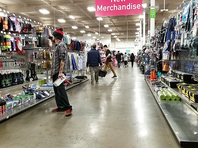 Wide aisles and clear signage—a thrift store that respects your personal space! No elbow-throwing required to score that vintage lamp.