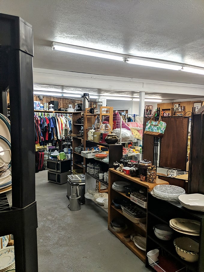 Organized chaos at its finest—shelves stacked with everyday treasures from kitchenware to clothing, each item patiently waiting for its "you had me at hello" moment.